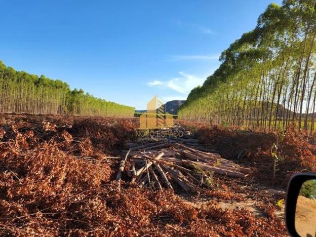 Rurais à venda na Zona Rural