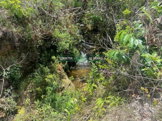Rurais à venda na Zona Rural
