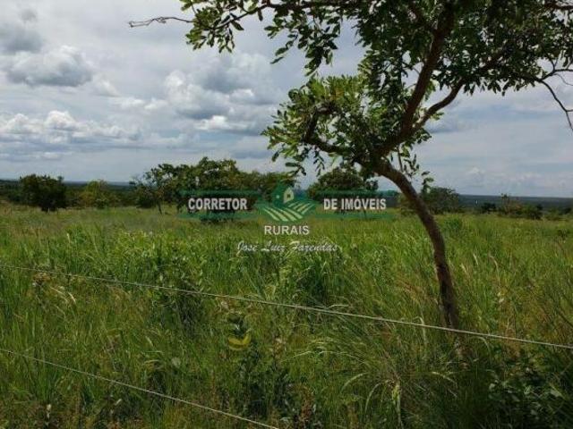 Rurais à venda na Zona Rural