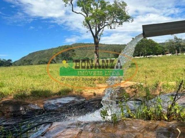 Rurais à venda Na Zona Rural