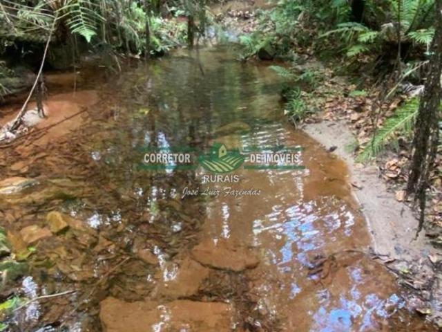 Rurais à venda na Zona Rural