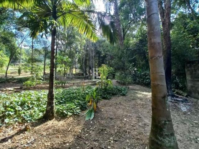 Rurais à venda na Estância Figueira Branca