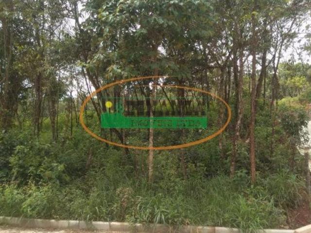 Rurais à venda no Alto Maranhão