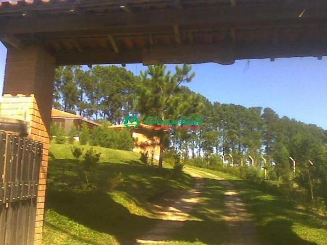 Rurais à venda no Bairro do Carmo Canguera