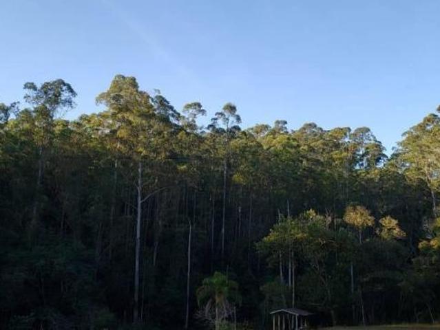 Rurais à venda no Centro