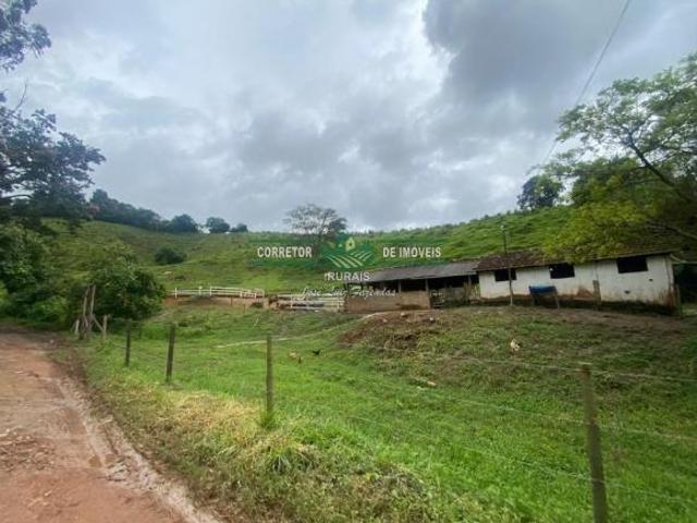 Rurais à venda no Centro