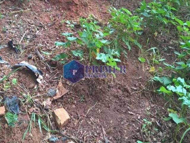 Rurais à venda no Centro