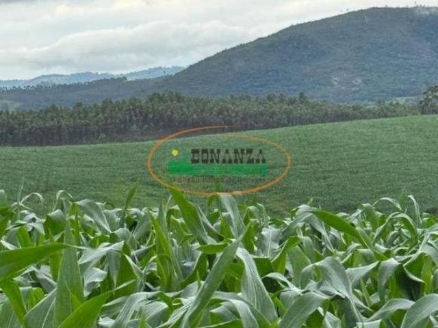 Rurais à venda no Centro