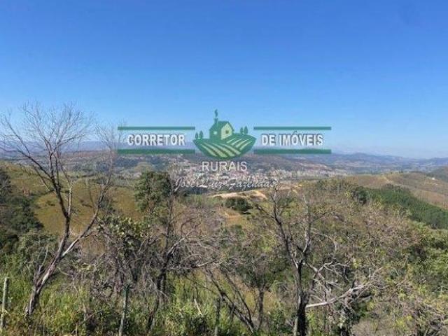 Rurais à venda no Centro