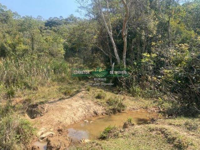 Rurais à venda no Centro