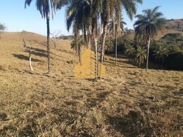 Rurais à venda no Centro