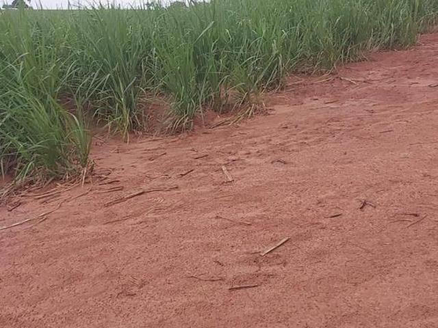 Rurais à venda no Centro