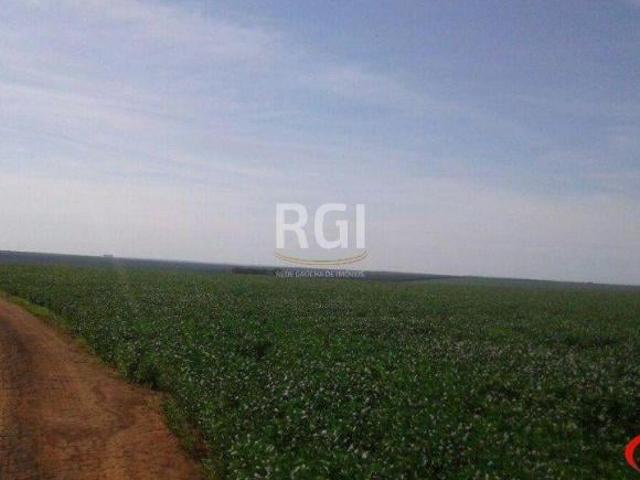 Rurais à venda no Centro