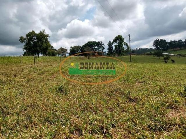 Rurais à venda no Centro