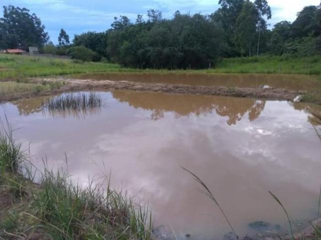 Rurais à venda no Centro