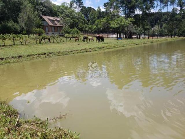 Rurais à venda no Centro