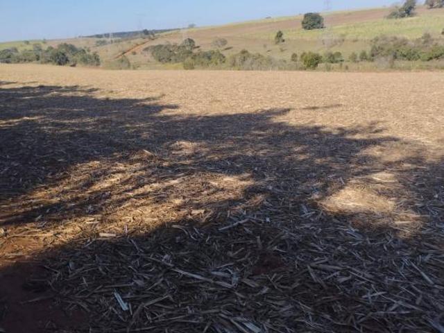 Rurais à venda no Centro