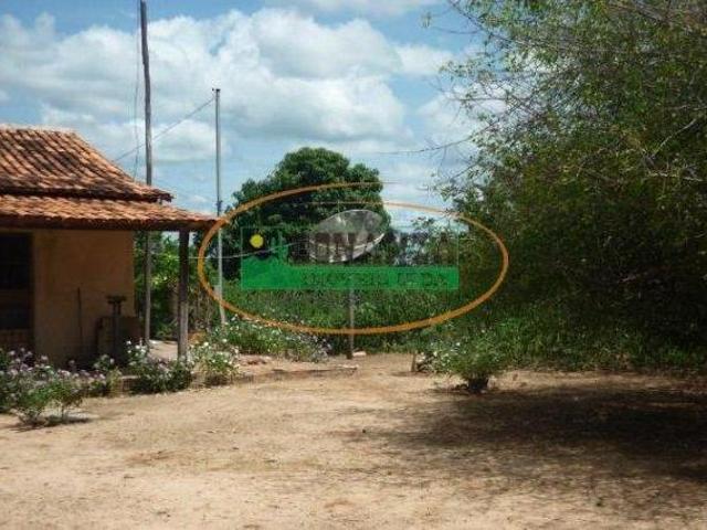 Rurais à venda no Centro