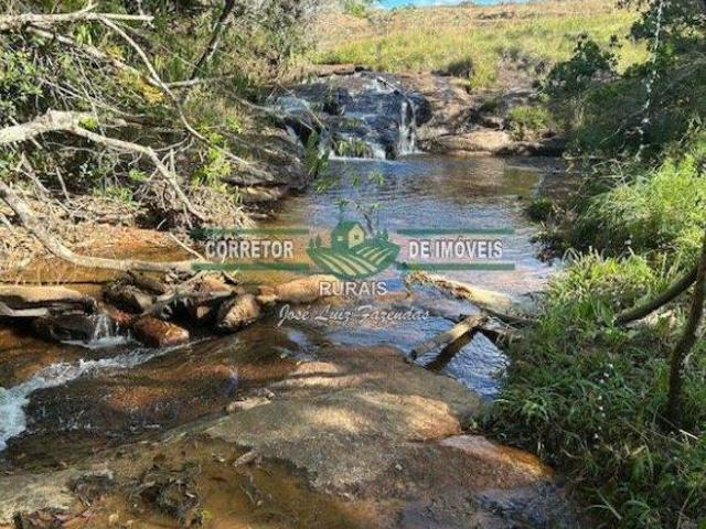 Rurais à venda no Centro