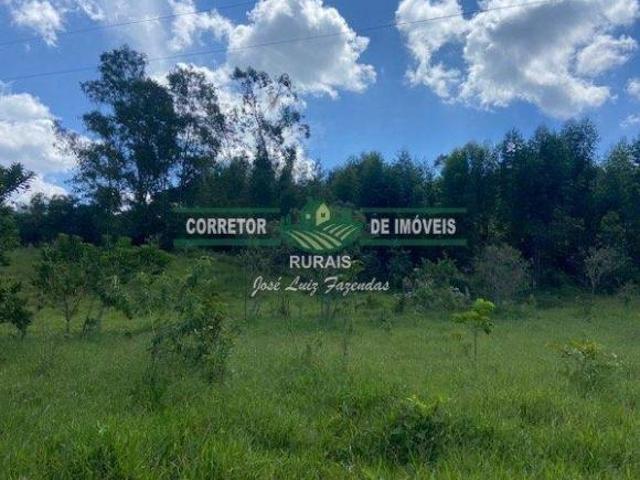 Rurais à venda no Centro