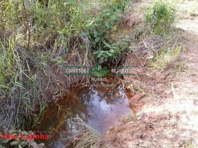 Rurais à venda no Centro