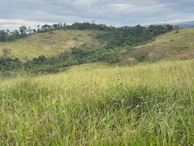Rurais à venda no Centro