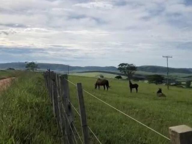 Rurais à venda no Centro