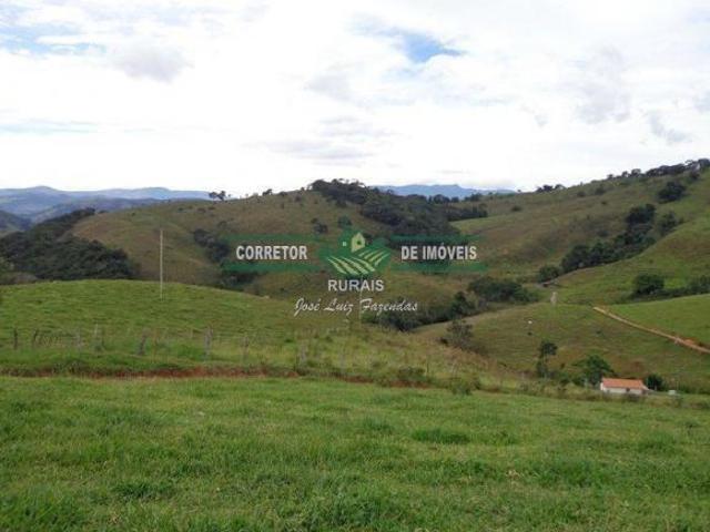 Rurais à venda no Centro