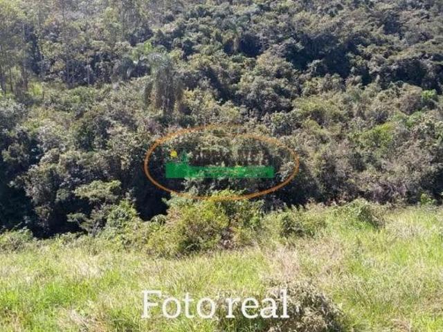 Rurais à venda no Centro