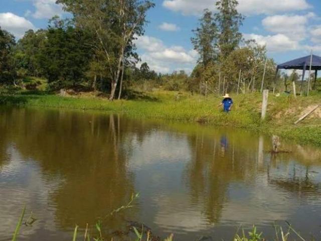 Rurais à venda no Centro Tupi