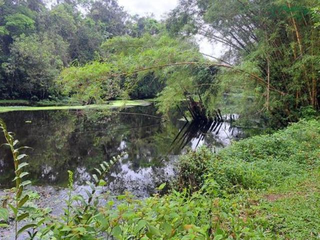 Rurais à venda no Jardim Aguapeú