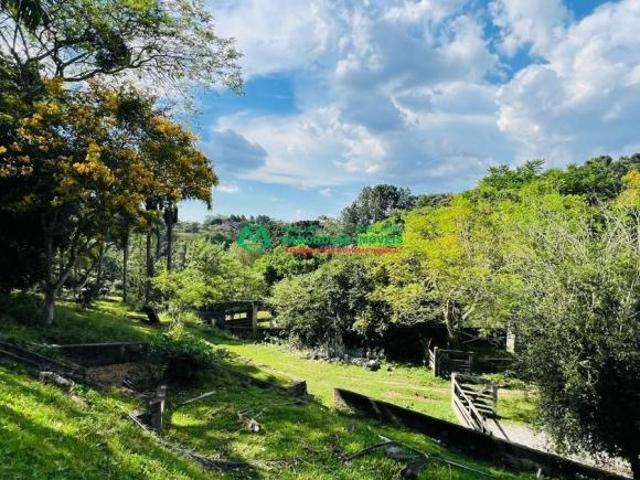 Rurais à venda no Jardim Rosa Azul Caucaia do Alto