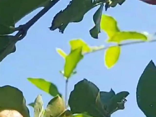 Rurais à venda no Parque Vergara