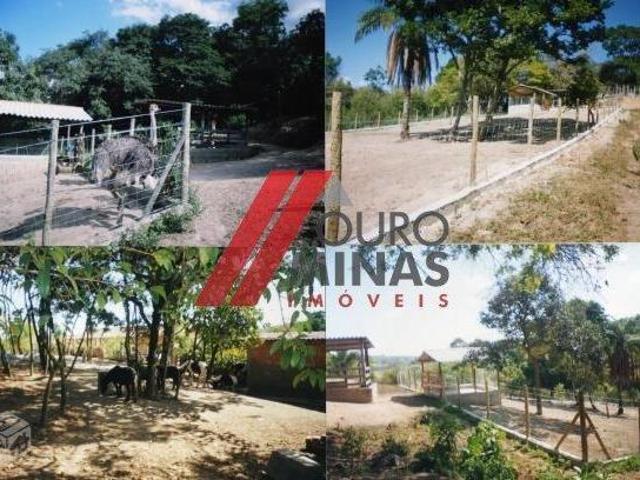 Rurais à venda no Recreio dos Bandeirantes