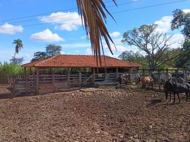 Rurais de 709 ha a venda em Santana de Pirapama