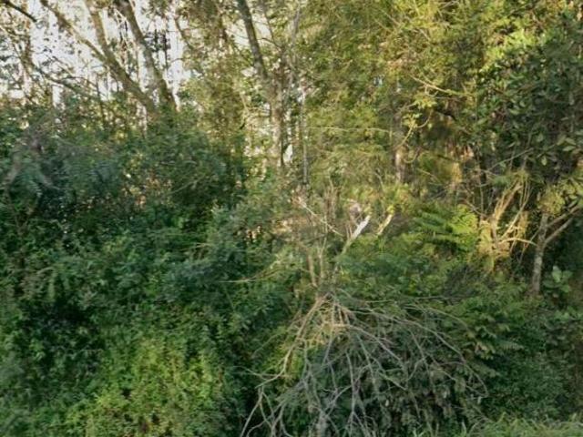 Rurais de 82 ha à venda em Passos dos Ferreiros