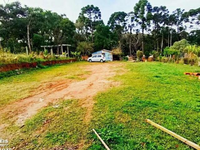 Rurais em Catanduva, Carambeí