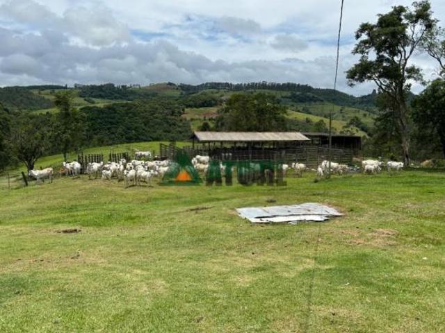 Rural