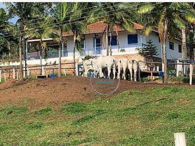 RURAL 019 Sítio com 33,3 alqueires à venda, 804165 m² por R$ 11.500.000 Capim Fino São Pedro/S
