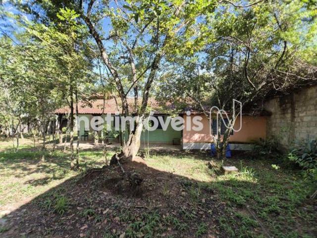 Rural à Venda, Capim Rasteiro Chácaras Campo Alegre, Contagem