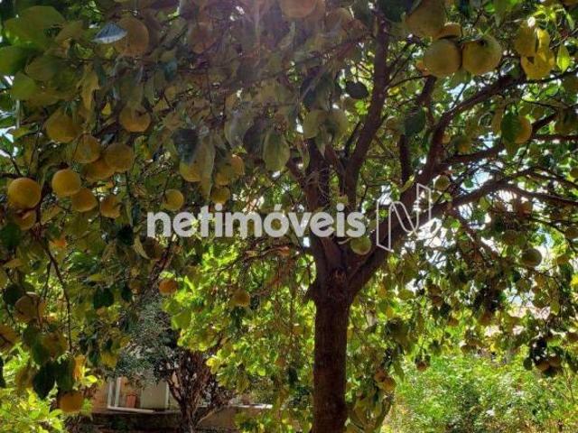 Rural à Venda, Condomínio Villa Monte Verde, Jaboticatubas