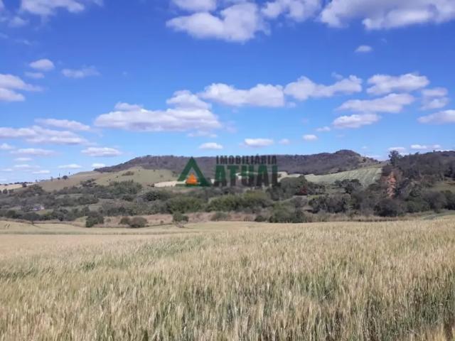 Rural à venda por R$ 1500. 00, 92000.00 m2 jardim pinheiro ibipora/pr