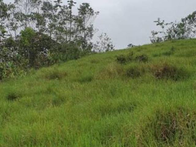 Rural Antonina, PR no bairro Bairro Alto