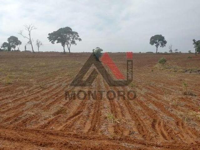 Rural Área em Araraquara