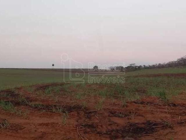 Rural Área em Araraquara