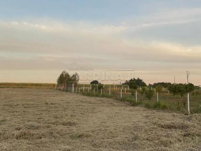 Rural Área em Araraquara