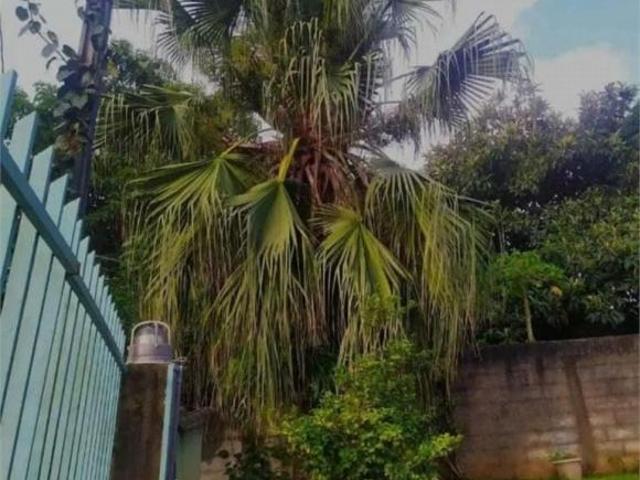 Rural, Centro, Piedade, SP