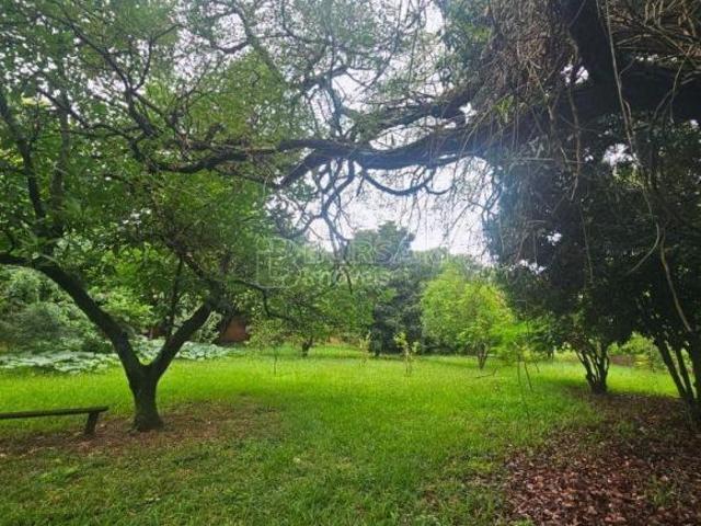 Rural Chácara em Araraquara