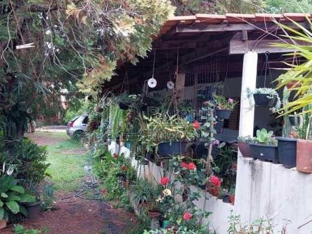 Rural Chácara em Araraquara