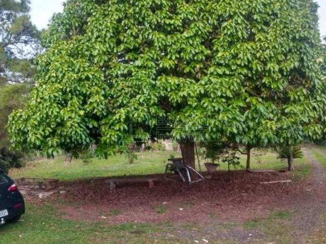 Rural Chácara em Araraquara